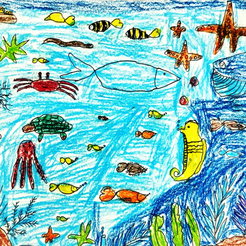 Fish and Ocean | 내가 사랑하는 바다 - 국제 어린이 환경 그림대회｜휴먼인러브